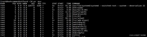 linux ps命令详解：如何查看进程的pid、占用的cpu和内存使用率、虚拟内存大小等信息（附实例教程和注意事项） 查看内存的命令ps csdn博客