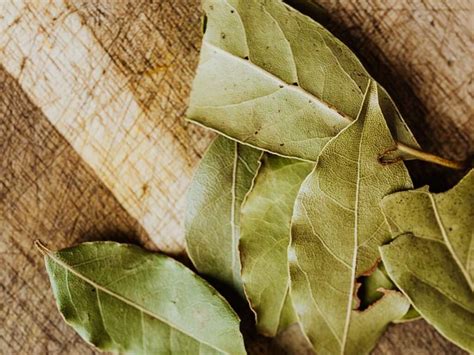 Bay Leaves Health Benefits Of Bay Leaves