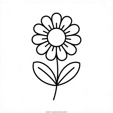 Flower Easy Drawings Easy Drawings
