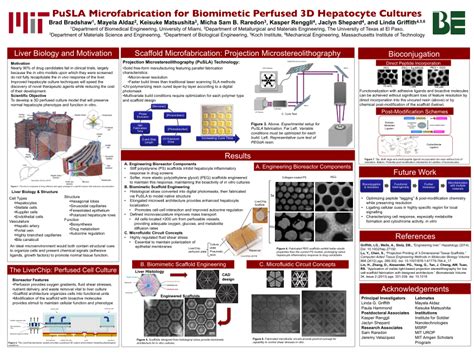 Pdf Projection Microstereolithography Microfabrication For Biomimetic Perfused 3d Hepatocyte