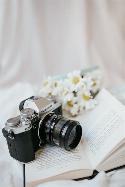 공부하다 구성 꽃 꽃무늬 꽃잎 데이지 독서하는 라이프스타일 레트로 렌즈 묵상 문학 문호 미니멀리스트 배경 보케 빈티지 빈티지 미학 소프트