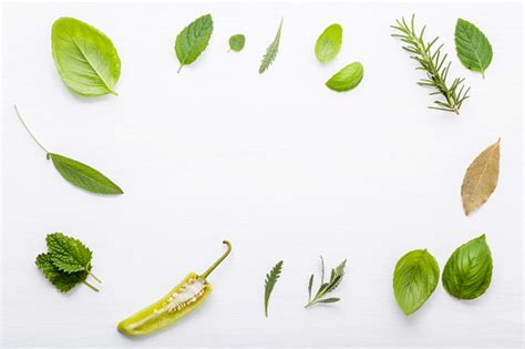 Ingrediens 박하 달콤한 바 질 로즈마리 오 레가 노 세이 지 레몬 백 리 향 평면 흰색 나무 배경에 대 한 다양 한 신선한 허브를 공간을 복사 건강관리와 의술에
