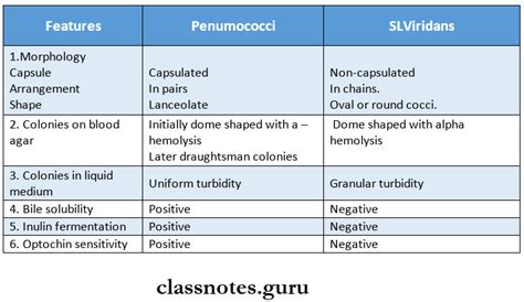 Pneumococcus Bacteria Class Notes