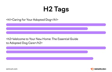 Mastering Heading Tags Meaning Examples And Pro Tips