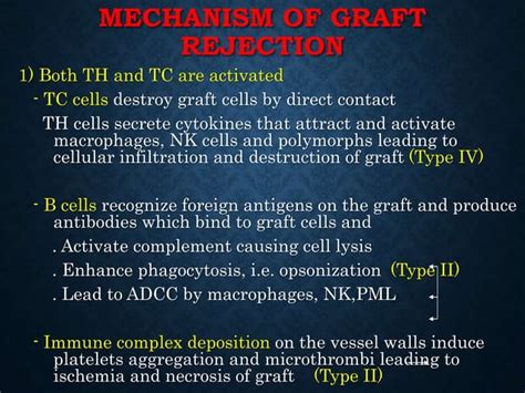 Hla Human Leukocyte Antigen And Mhc Major Histocompatibility Complex Ppt