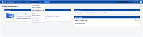 Import Issues From Csv Option Is Missing From Issues Menu Jira