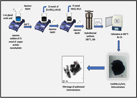 Schematic Representation Of The Synthesis Of Download Scientific