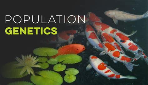 Population Genetics Virtual Biology Lab