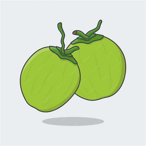 Premium Vector Coconut Cartoon Vector Illustration Fresh Coconut Flat