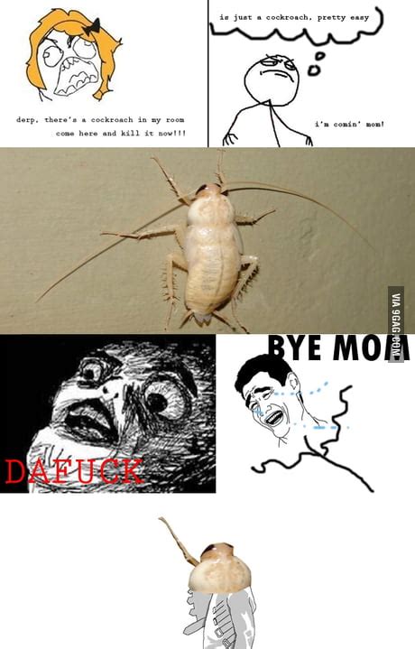 Flying Cockroach 9gag
