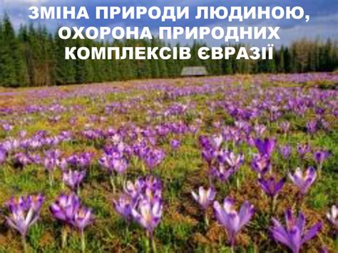 7 географія 7клас упрок №10 Зміни природи Євразії людиною