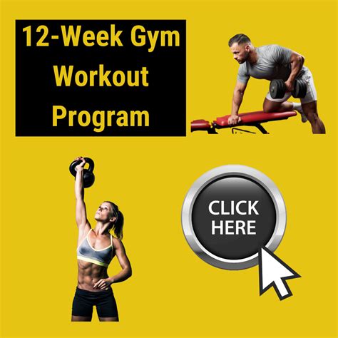 12 Week Gym Workout Plan Beginner Friendly