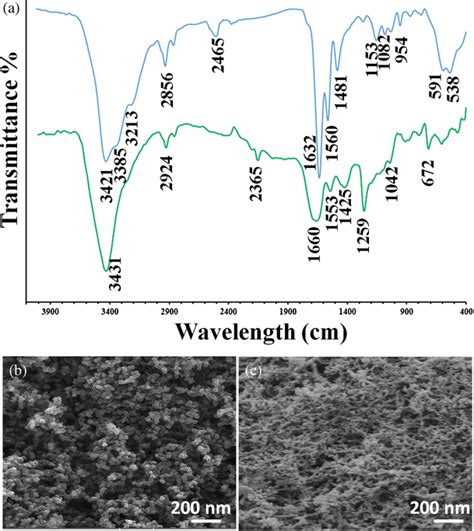 A Ft Ir Spectra Of Ppy And Ppy Des B Sem Micrograph Of Ppy And C