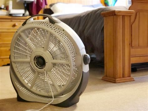 The 5 Best Floor Fans Tested By Gearlab