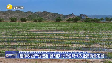 延伸农业产业链群 推动陕北特色现代农业高质量发展 陕西网络广播电视台