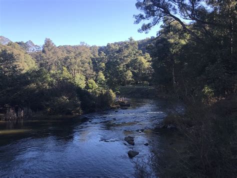 Coopers Creek Campground Coopers Creek Minkys Day Out