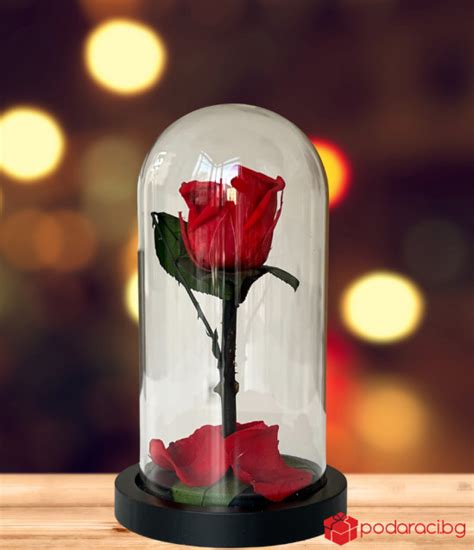 Вечна роза Красавицата и Звяра Съпруга