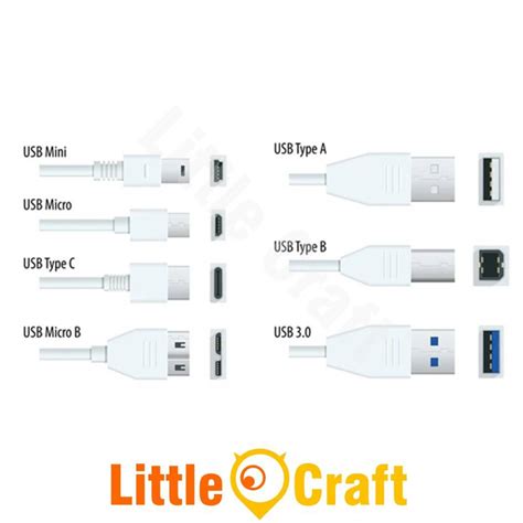 Usb Type B Vs Type C At Angela Bates Blog