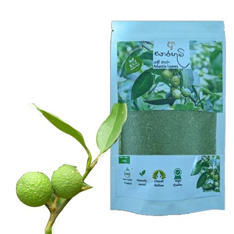 Heen Bovitiya Osbeckia Octandra Leaves Powder Relieve Fatty Liver SĀra BhŪmi හීන් බෝවිටියා