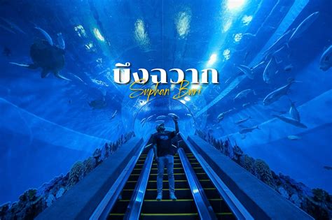 📍 บึงฉวาก สุพรรณบุรี 🚗💨 ฤ ดู ที่ ฉั น เ ที่ ย ว Facebook