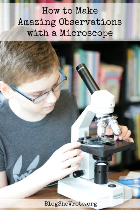 Microscope Stem Activities For Teens