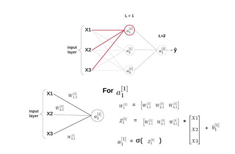 Deep Neural Networksdnn Part 1 Representation And Forward Propagation By Parth Dhameliya