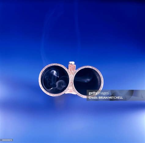 Looking Down A Double Barrel