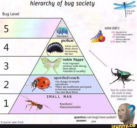 Hierarchy Of Bug Society This One Bug Level Sme Some Stats 3569 Bugs