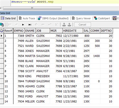 Dive In Oracle Oracle Virtual Private Database