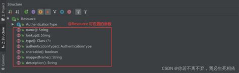 为什么 Spring 和 Idea 都推荐使用 Resource注解而不是autowired？autowired和resource那个更好 Csdn博客