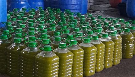 كيف تفرق بين زيت الزيتون الأصلي والمغشوش؟