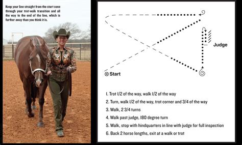 Robin Frid Ride The Pattern Showmanship