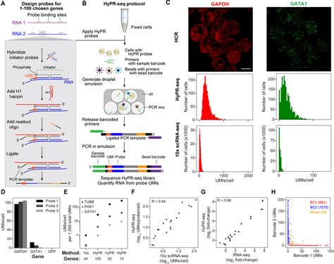 Hypr Seq Enables Single Cell Quantification Of Selected Rnas Download Scientific Diagram