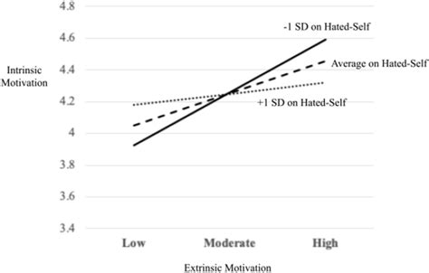 Moderating Effect Of Hated Self On The Pathway From Extrinsic