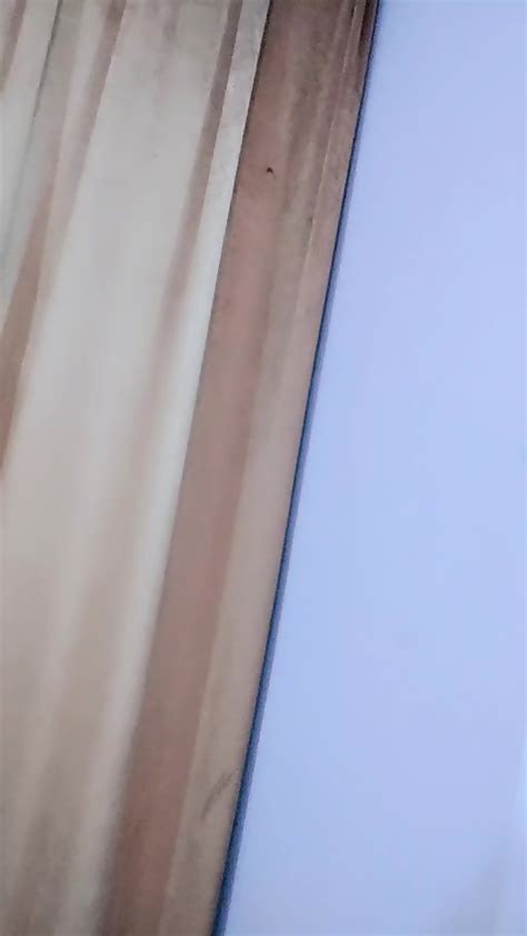 小白兔圆又圆在校大二学生 无套啪啪狂操口爆吞精 2