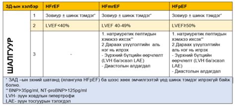 Зүрх судасны төв