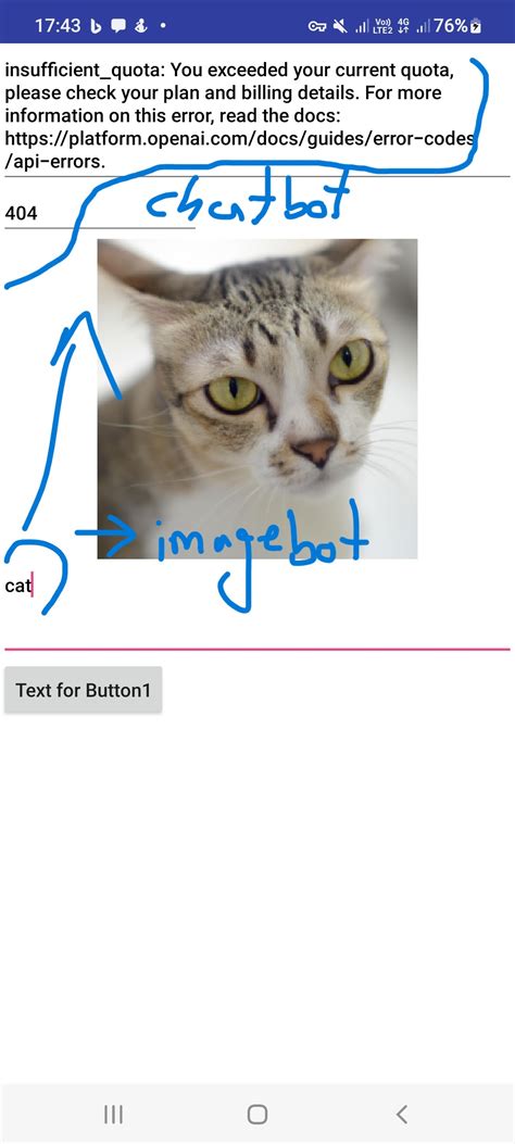 Chatbot You Exceeded Your Current Quota While Using Own Not Mit Api Key Bugs And Other