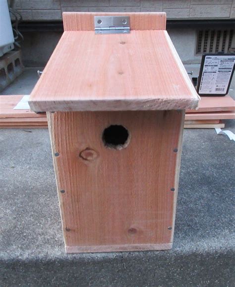 野鳥の巣箱増設 秋田山師の会