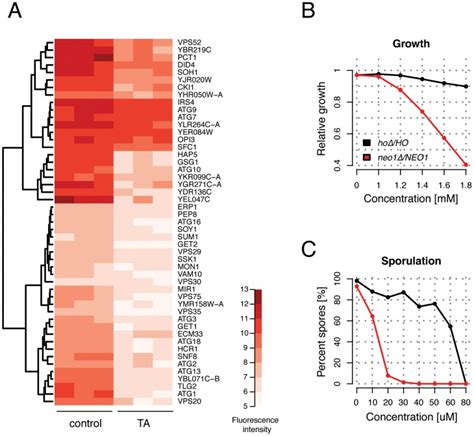 A Heatmap And Dendrogram Depicting Hierarchical Clustering Of