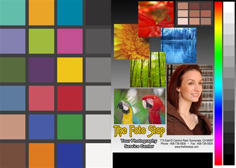 Bay And Basin Camera Club