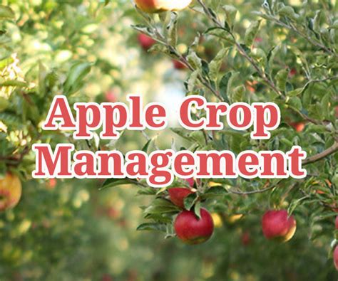 Apple Crop Management Agriplex