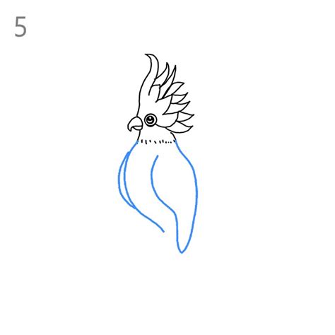 How To Draw A Cockatoo Step By Step Easy Drawing Guides Drawing Howtos