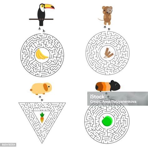 교육 미로 또는 곡물 햄스터 기니 피그와 토끼와 당근 사과와 바나나 큰부리새 어린이 들을 위한 게임 미 궁 검색에 대한 스톡 벡터 아트 및 기타 이미지 Istock
