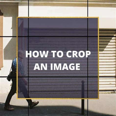 How To Crop An Image A Beginner S Guide For Perfect Images
