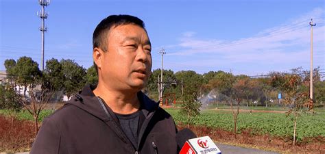 横山桥人居环境整治再推进乡镇蝶变展新颜 搜狐大视野 搜狐新闻