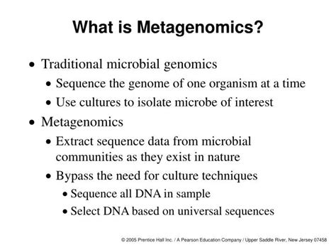 Ppt What Is Metagenomics Powerpoint Presentation Free Download Id388356