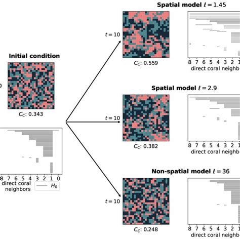 Stochastic Spatial Smhe Model Of A Coral Reef A Model Motivation