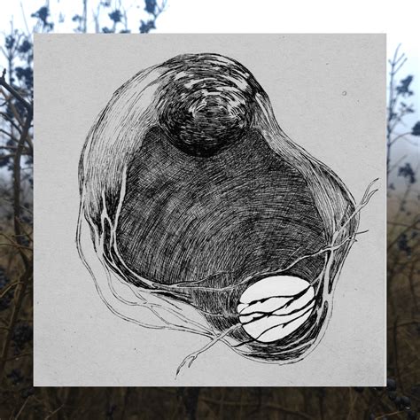 Protection Lately Im Really Struggling With A Doubt In My Skills And