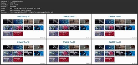 Owasp Top 10 Web Application Security In 30 Minutes 2025 Softarchive