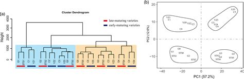 High‐resolution Temporal Dynamic Transcriptome Landscape Reveals A Ghcal‐mediated Flowering